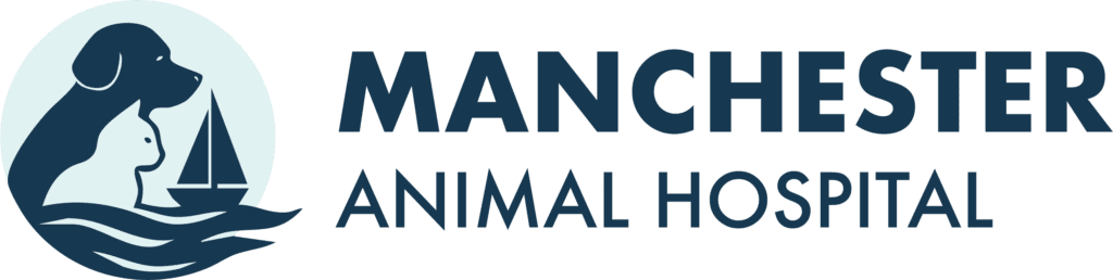 Veterinarian and Animal Hospital in Manchester-by-the-Sea, MA ...