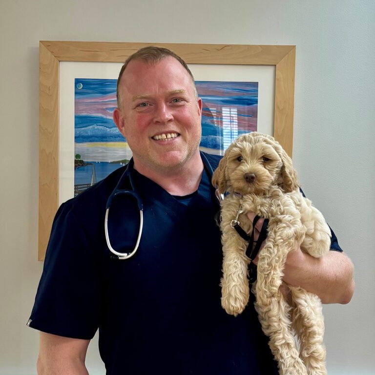 Dr. Scott Teague | Manchester Animal Hospital